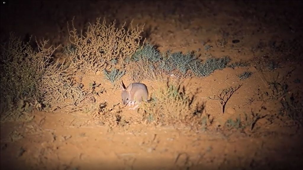 Bedourie - 4829 - Location - ABC News