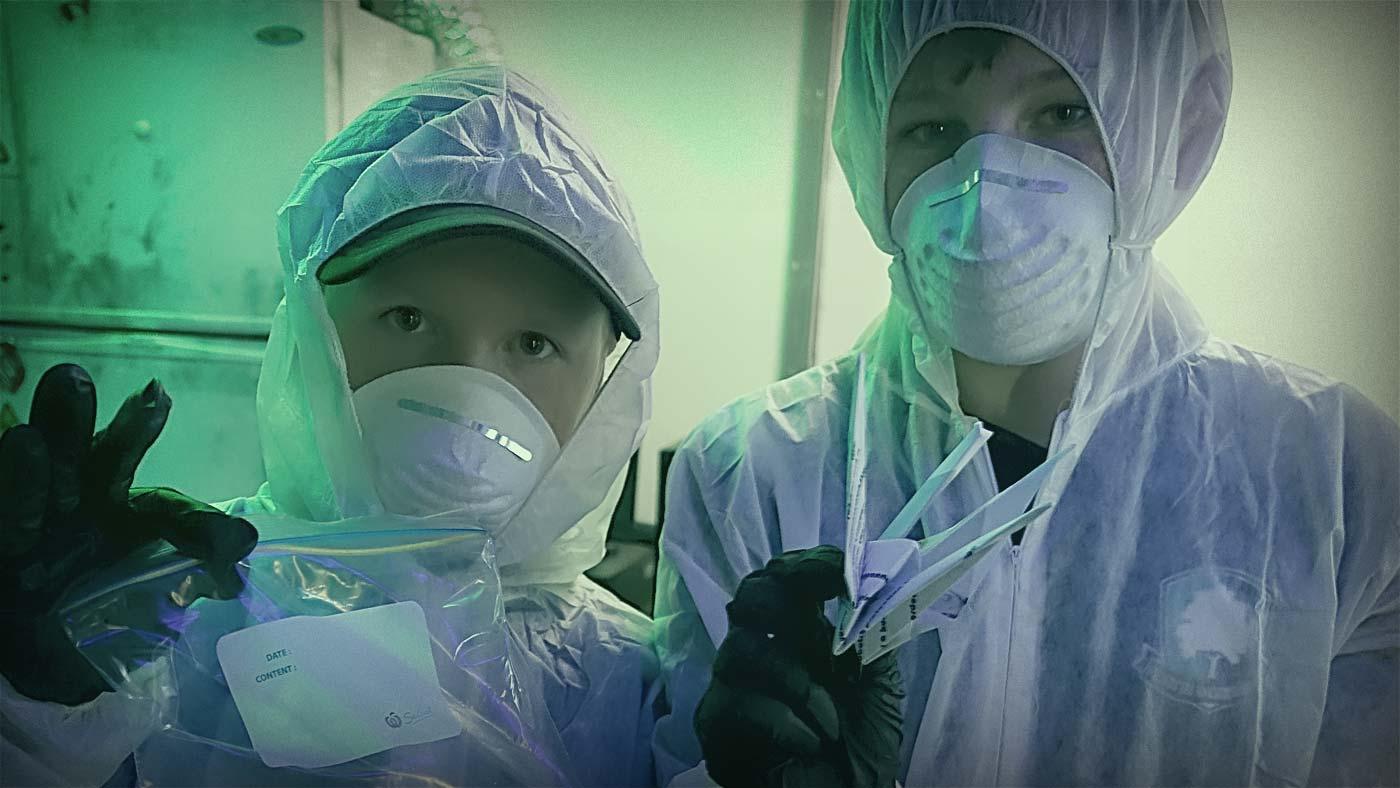 Zombie Lessons - Behind The News