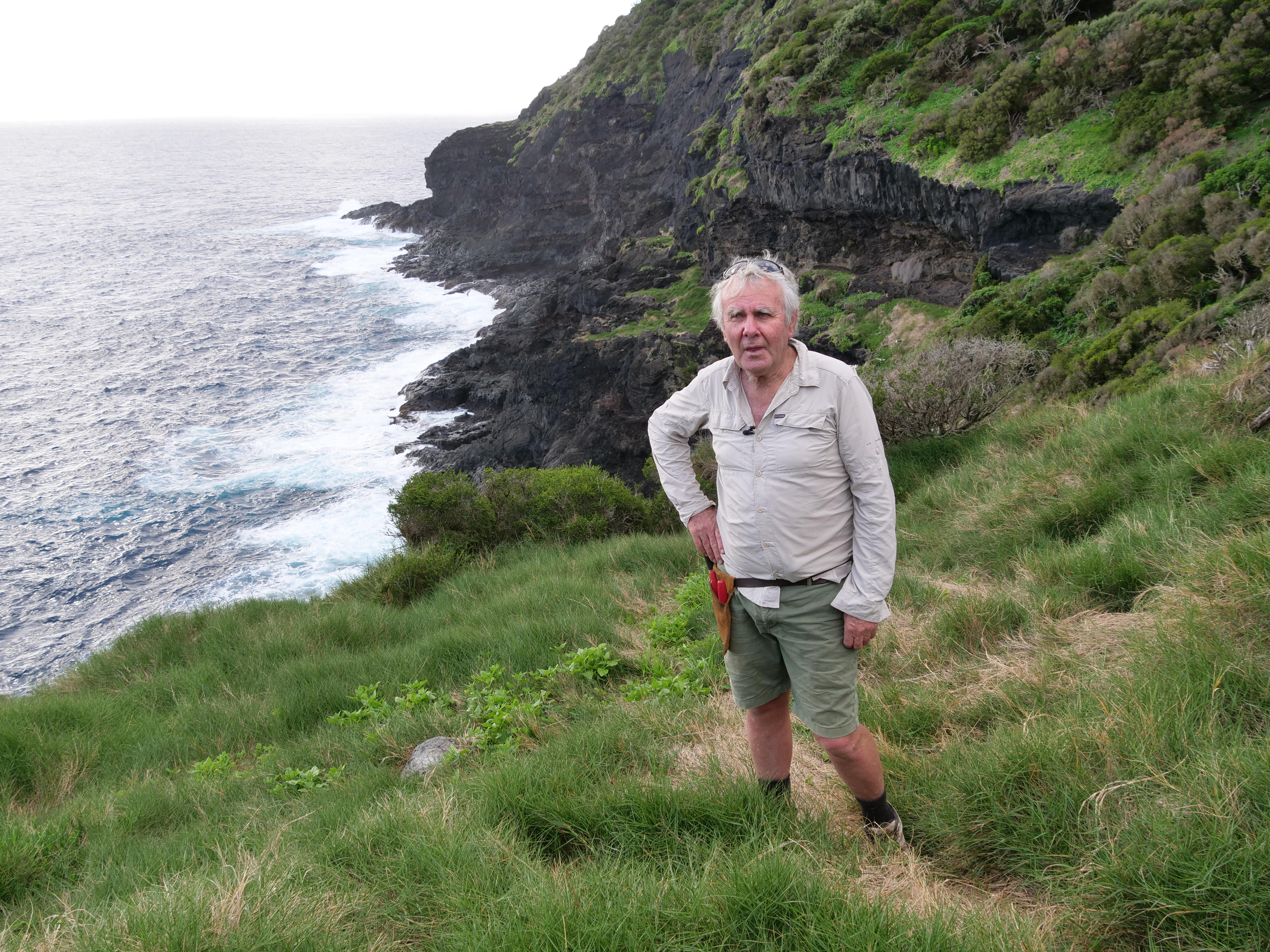 Ecotourists tie knot on Lord Howe Island with destination wedding and ...