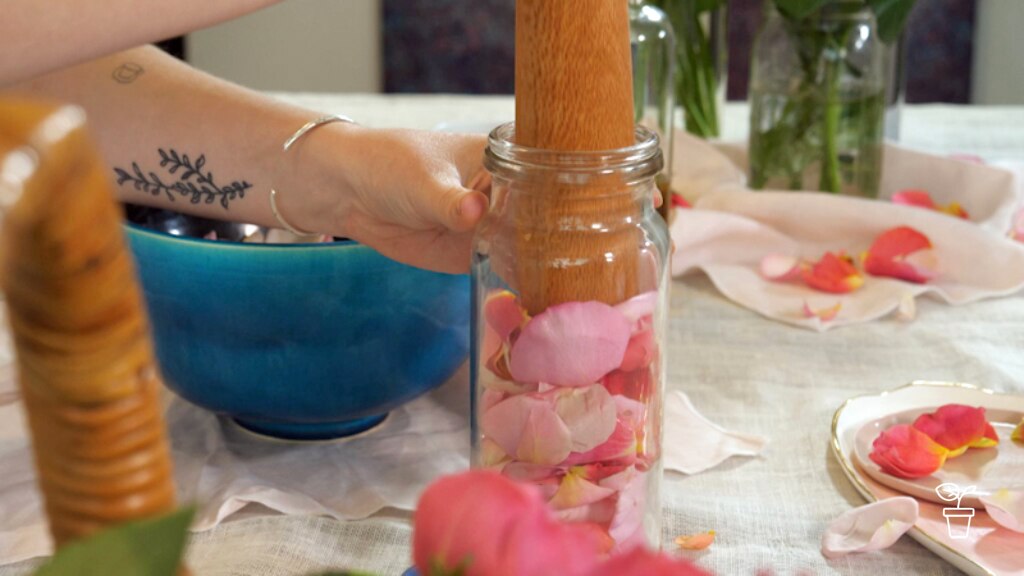 What's Old is New - Rose Balm - Gardening Australia