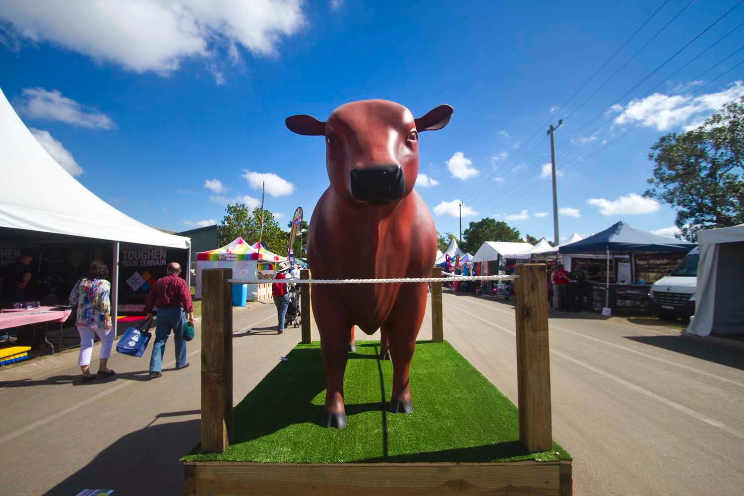 In pictures: The faces of Beef Australia 2015 - ABC News