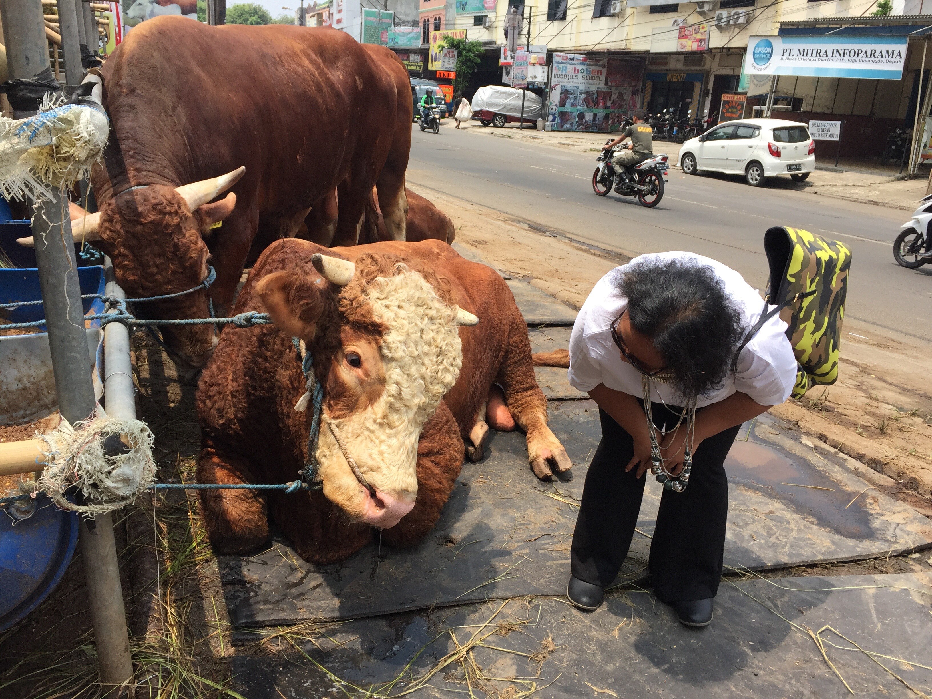 Qurban: Ancient Islamic tradition of animal sacrifice gets modern ...
