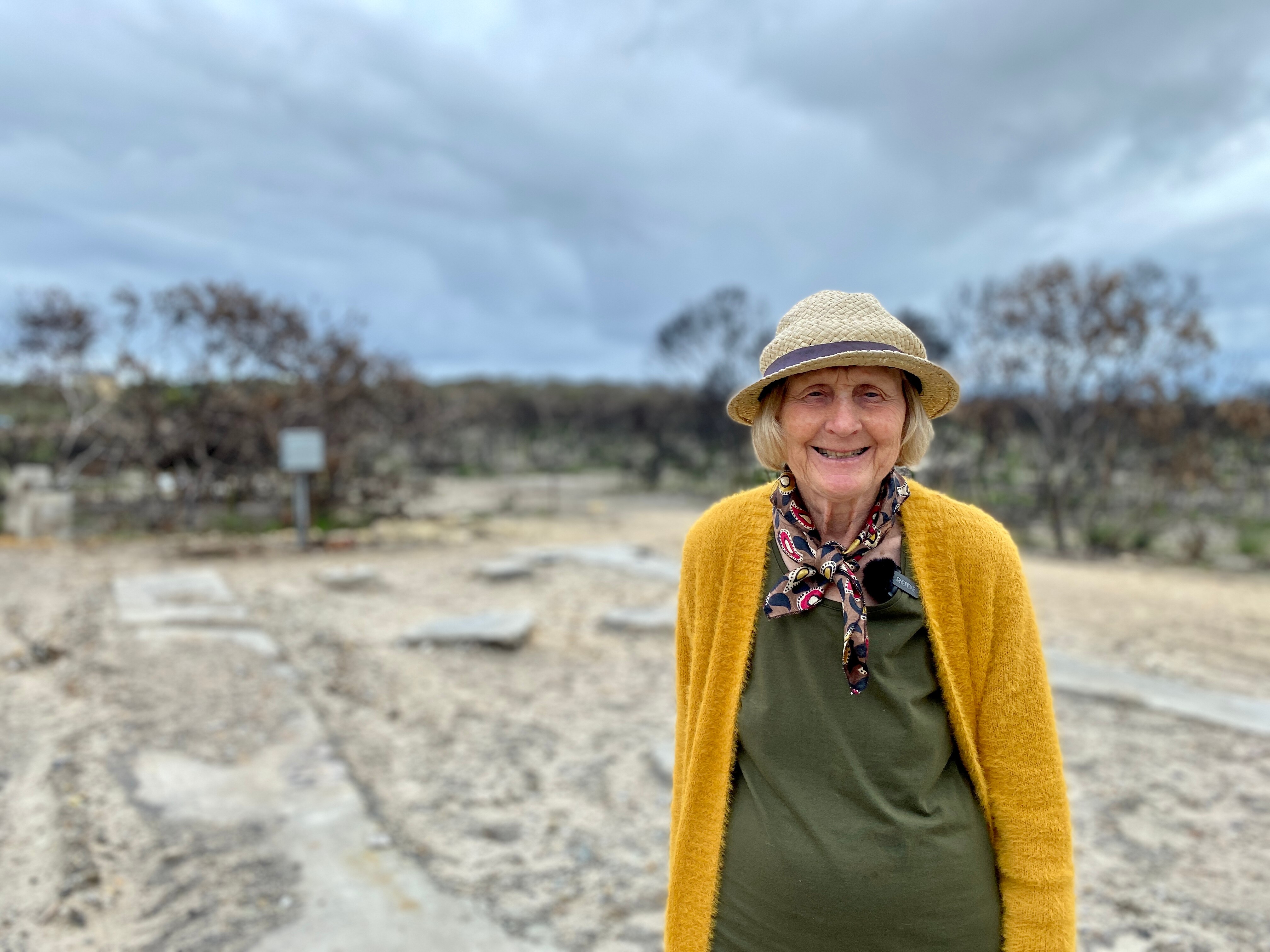 Slow recovery for bushfire victims in south coast town of WA - ABC News