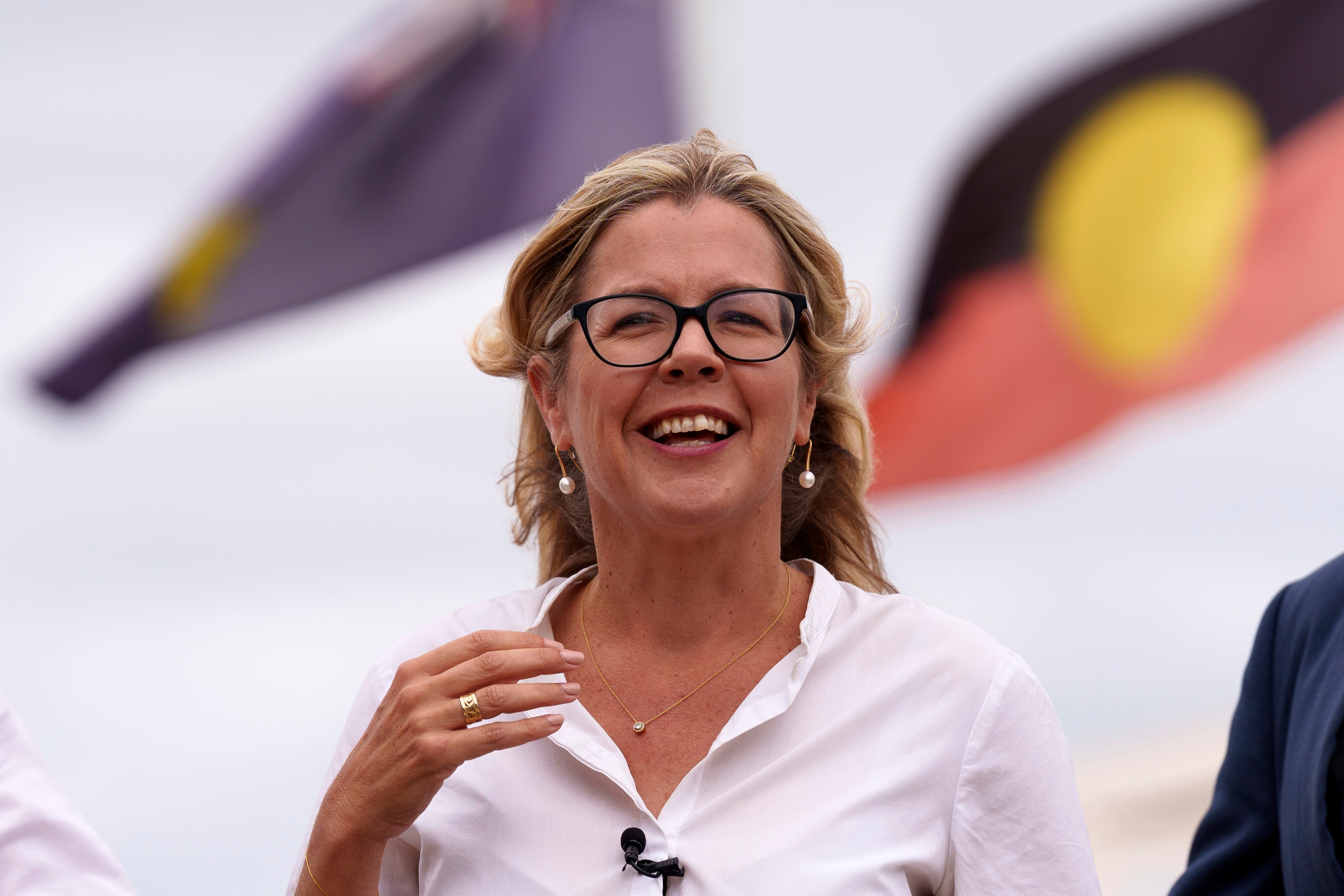 Libby Mettam calls time on two-year stint as WA Liberals leader, as ...