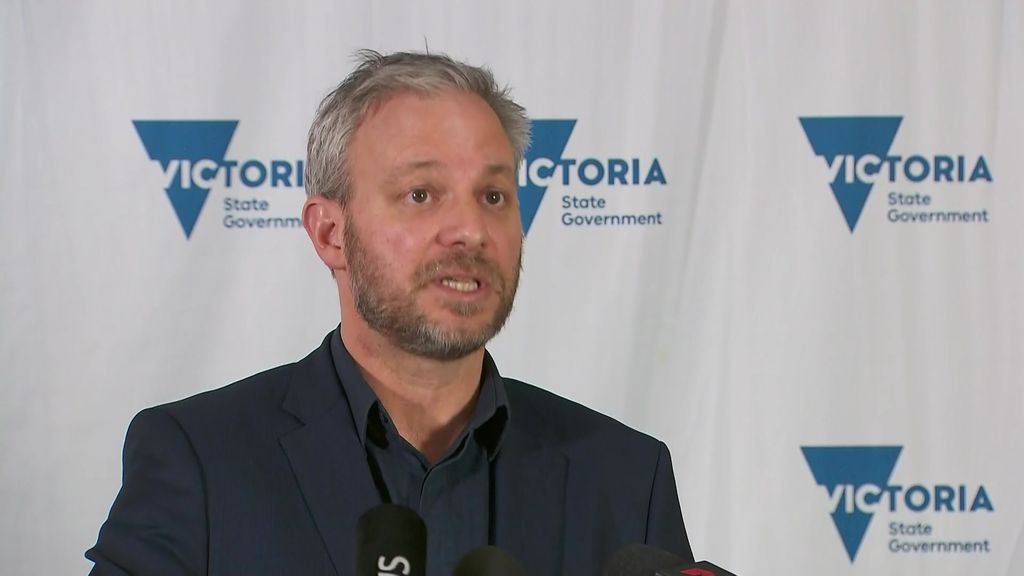 Professor Brett Sutton says a vaccine passport is being considered ...