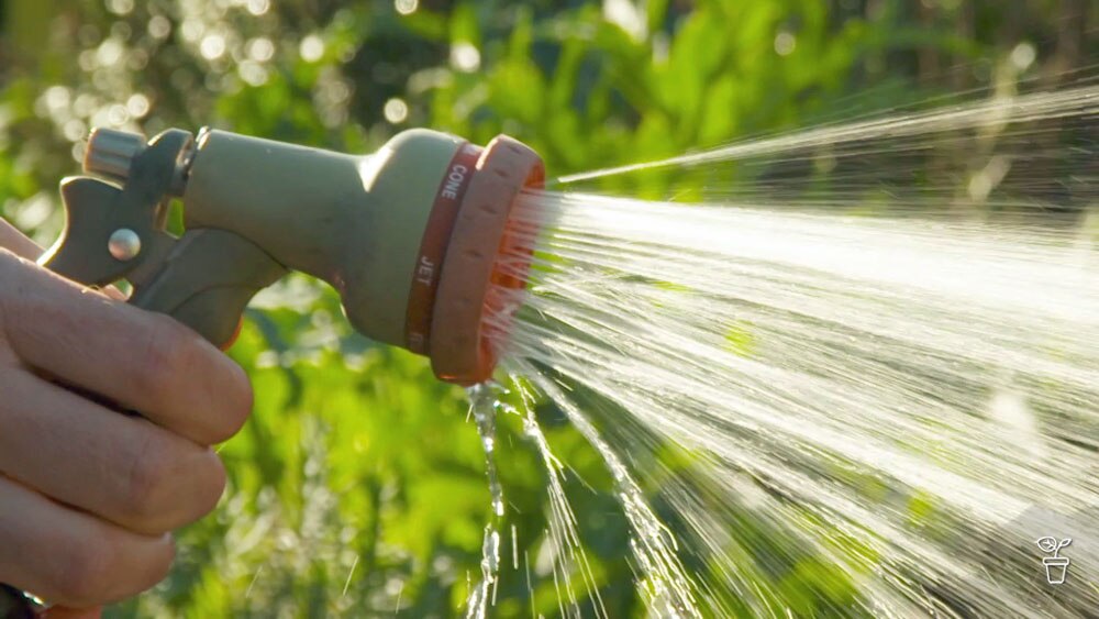 Waterwise message ignored as taps turned on - ABC listen