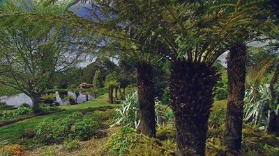 Bunya Dreaming - Gardening Australia