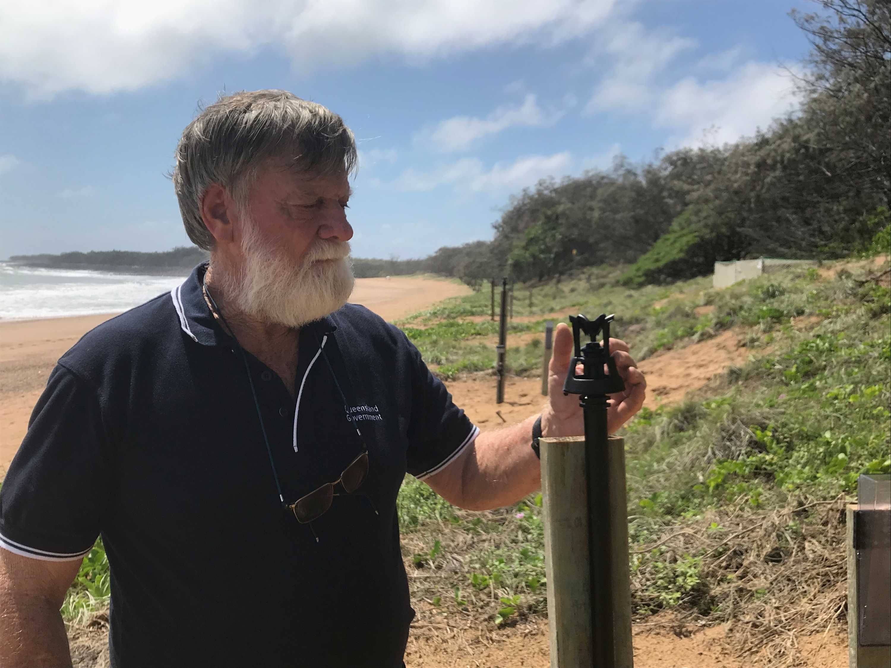 Turtle conservation researcher Col Limpus from Mon Repos rookery ...