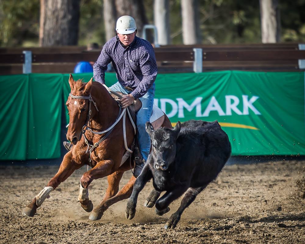 Campdrafting - ABC listen