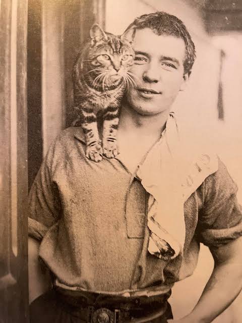 Cat that captured hearts in Sydney-to-Hobart yacht race furthers ...