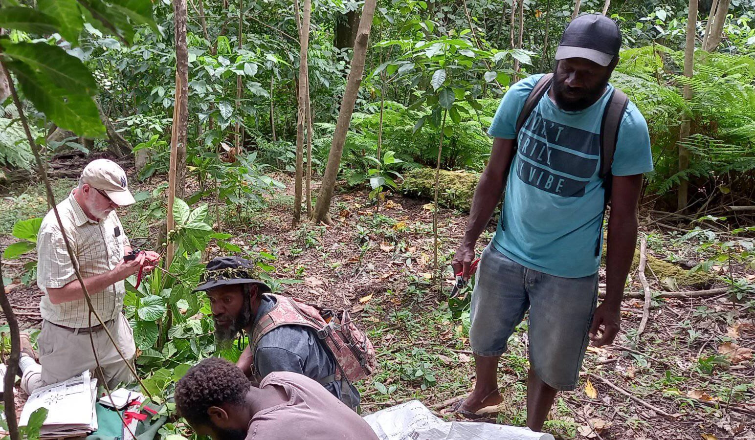 Vanuatu government hoping to build plant database to encourage their ...