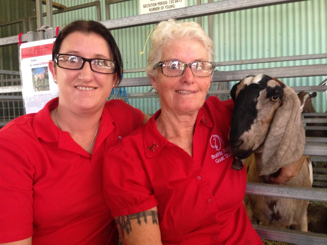 Cheeky nature charms a Queensland goat breeders' club calling to ...