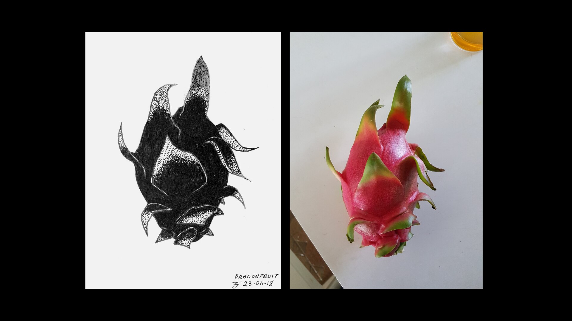 Darwin market guide: Dragon fruit - ABC listen