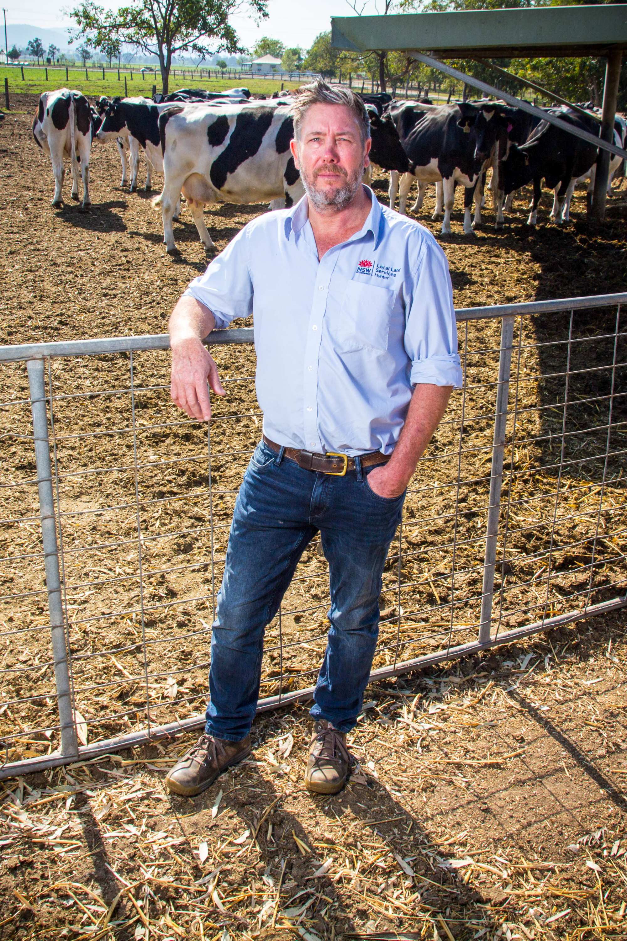 NSW farmers urged to plan for dry season as lack of rain increases ...