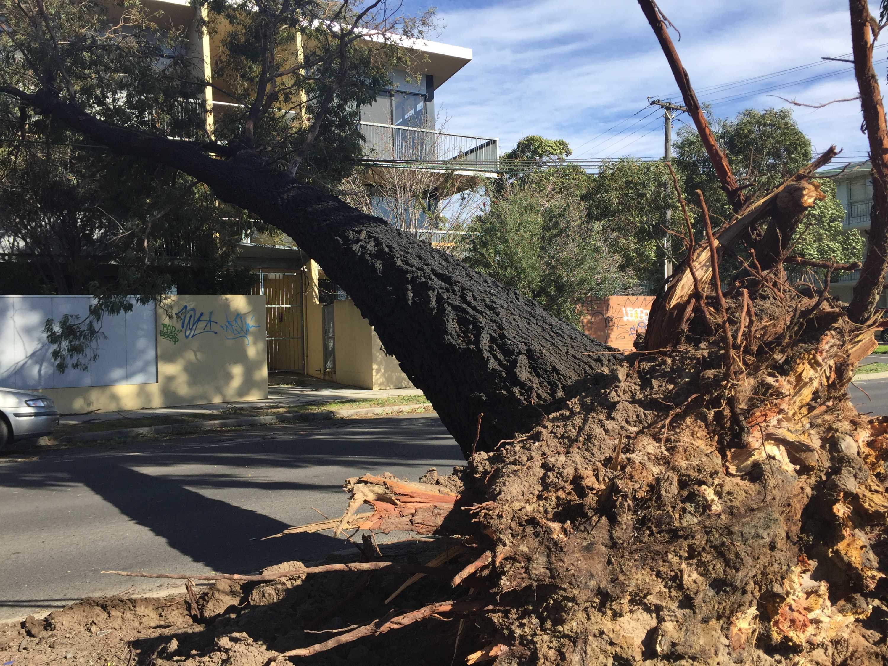 Melbourne weather: 100kph wind gusts hit Victoria, emergency crews ...