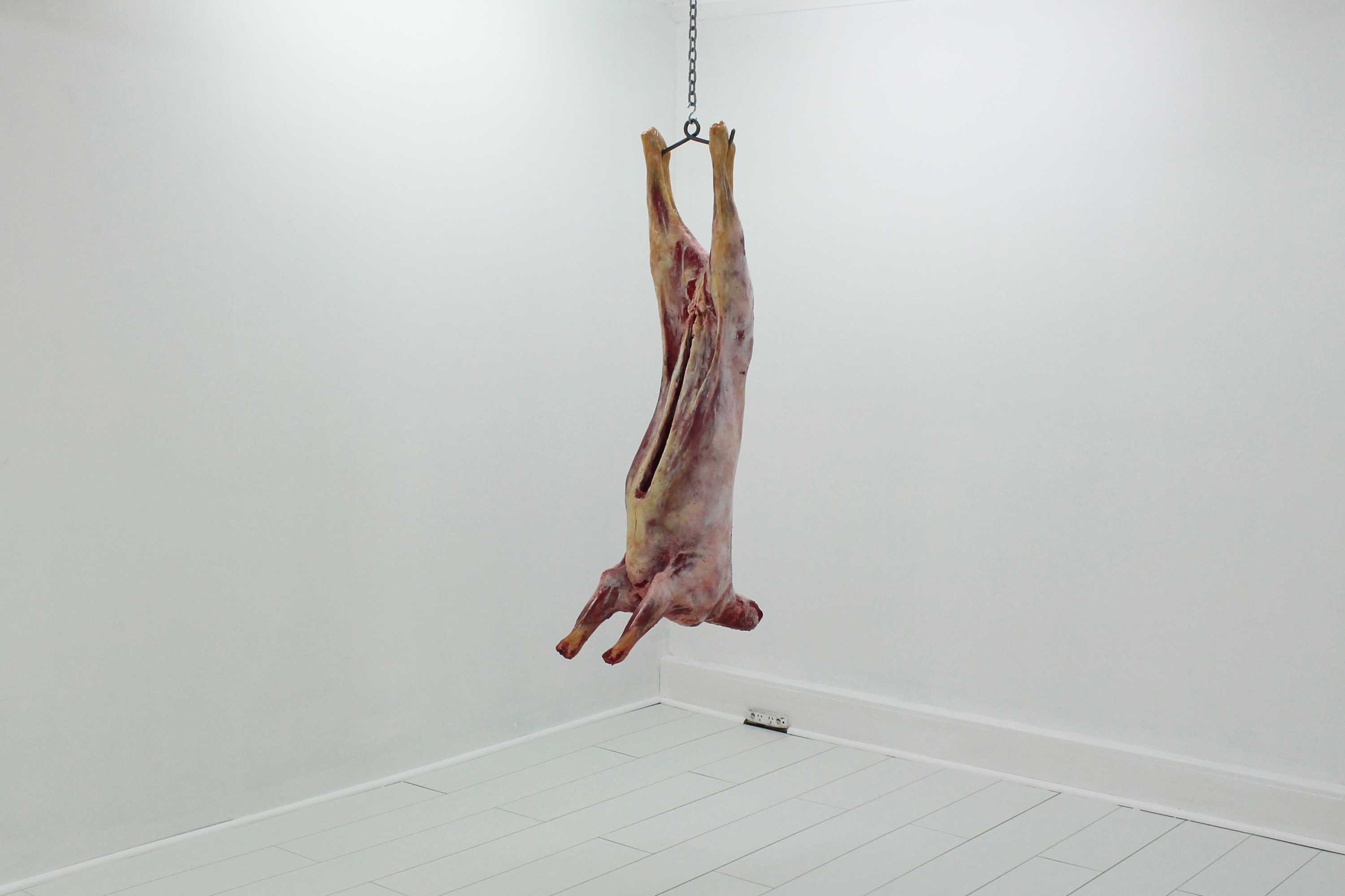 Brendan Trembath - ABC News