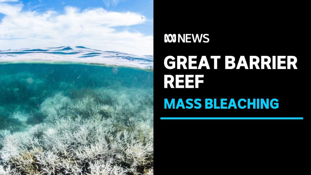 Mass bleaching event stretching beyond Great Barrier Reef - ABC News