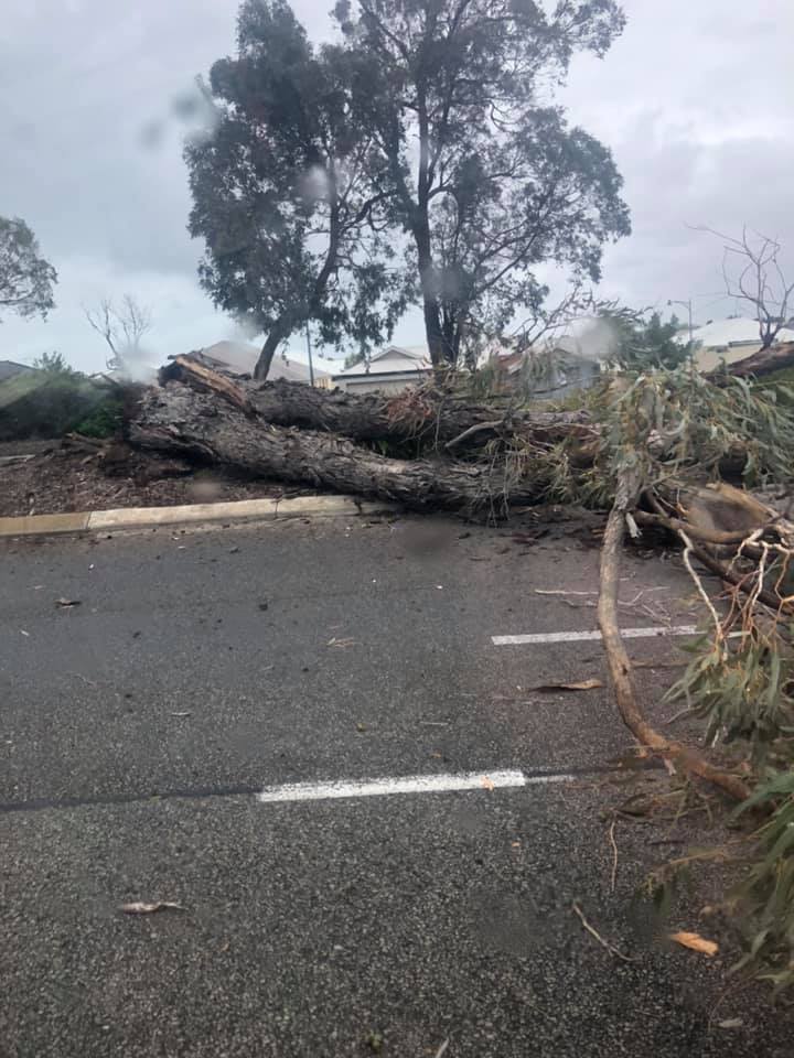 Perth storm knocks out power to 25,000 homes as 100kph winds buffet ...