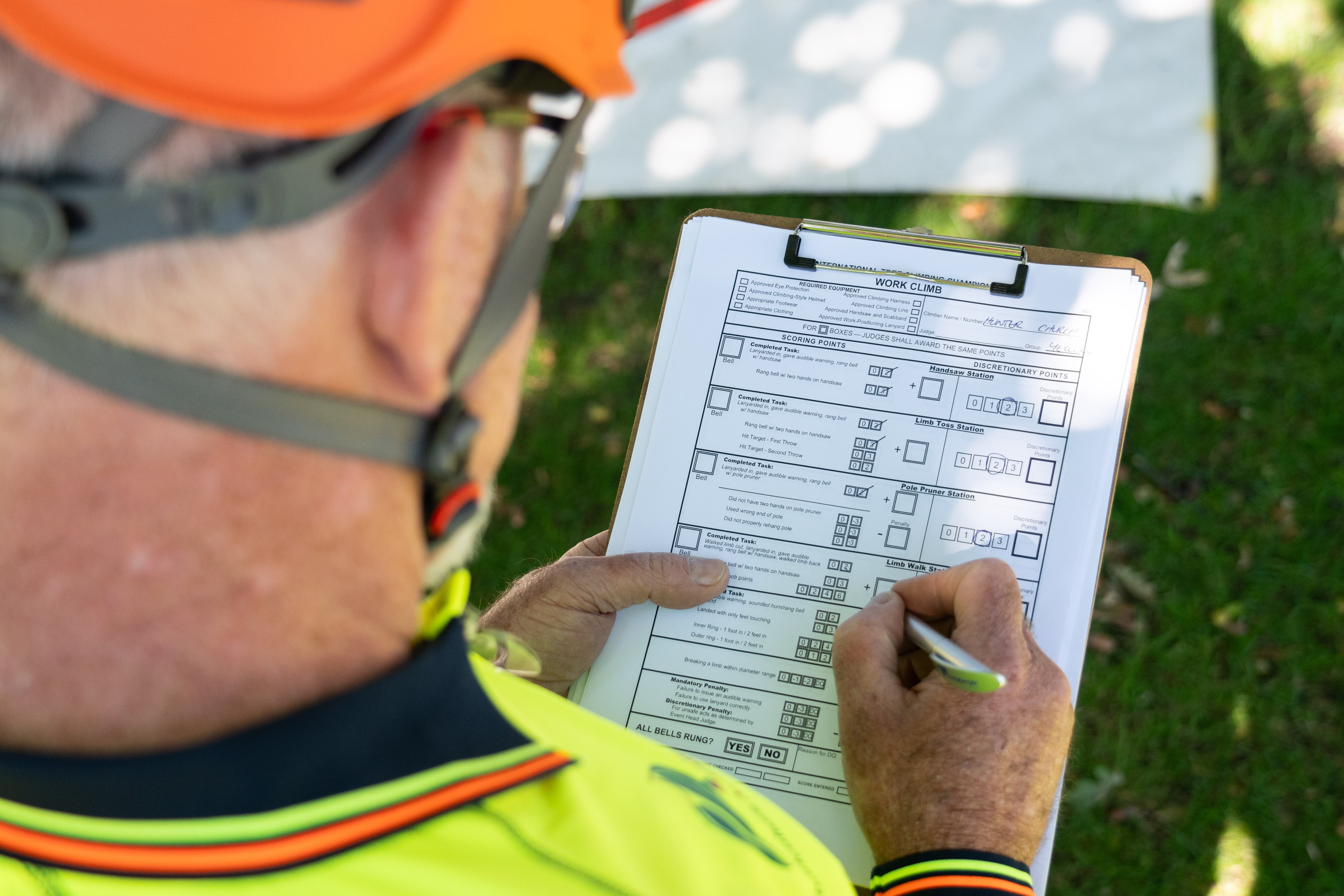 Tasmanian tree climbing championships draws arborists vying for state ...
