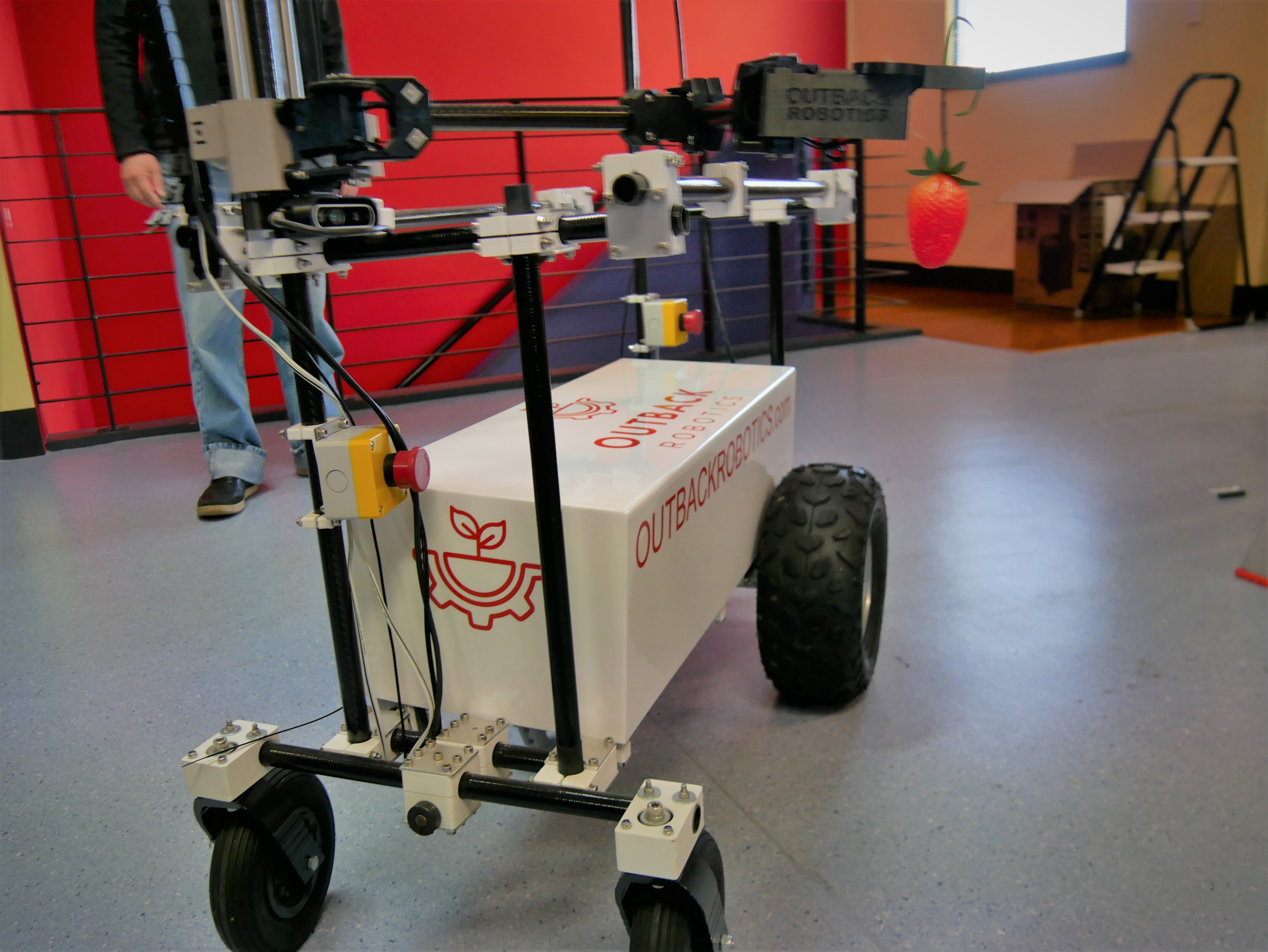 Perth engineers design robot strawberry picker that kills fungus with ...