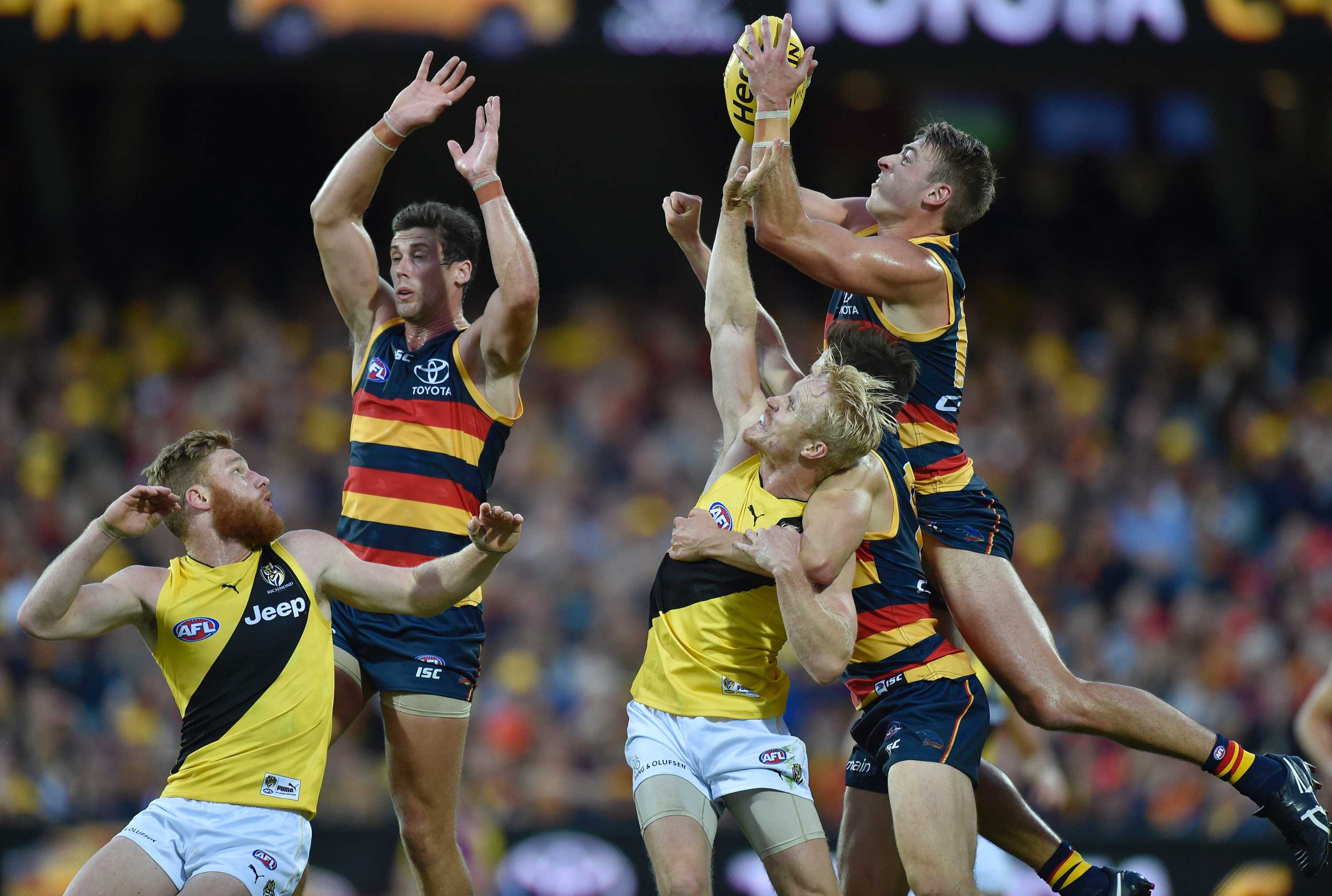 Adelaide Crows are the clear AFL front-runners after six perfect rounds ...