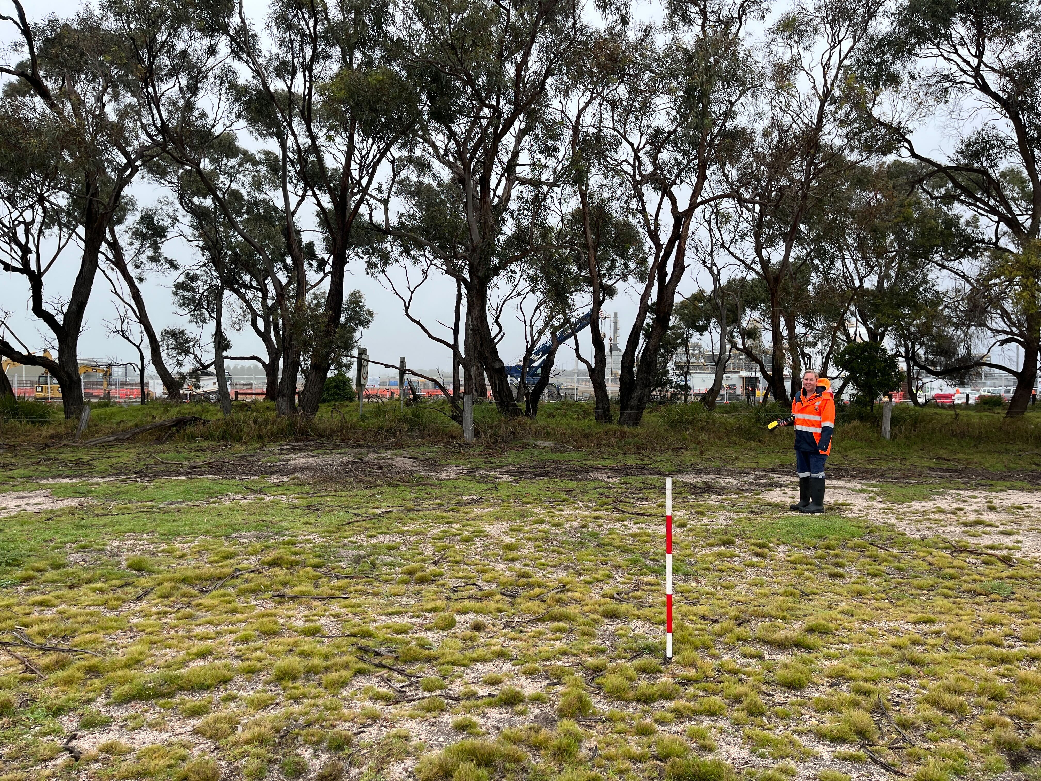 So you think you've found a fossil — what next? - ABC News