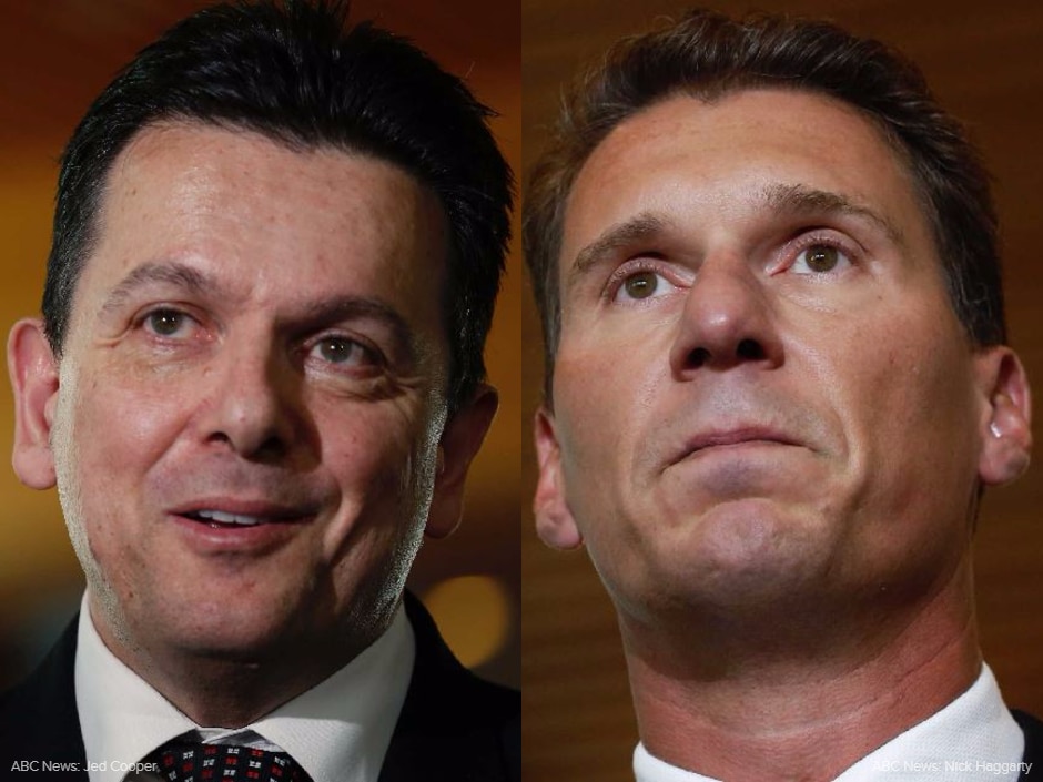 Media, energy, university: What do these crossbenchers really think ...