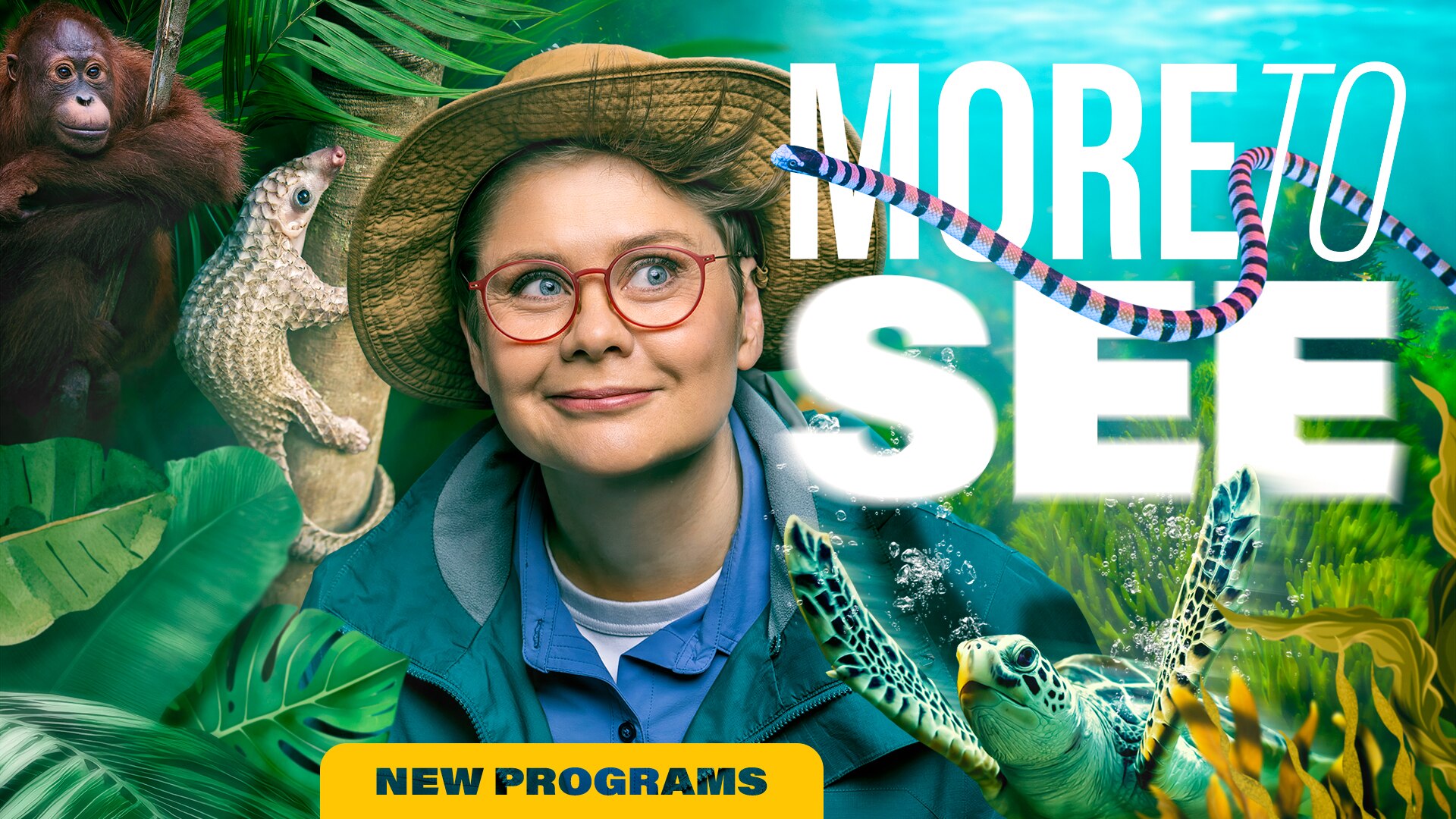 MIPCOM 2025: New Programs - ABC Content Sales