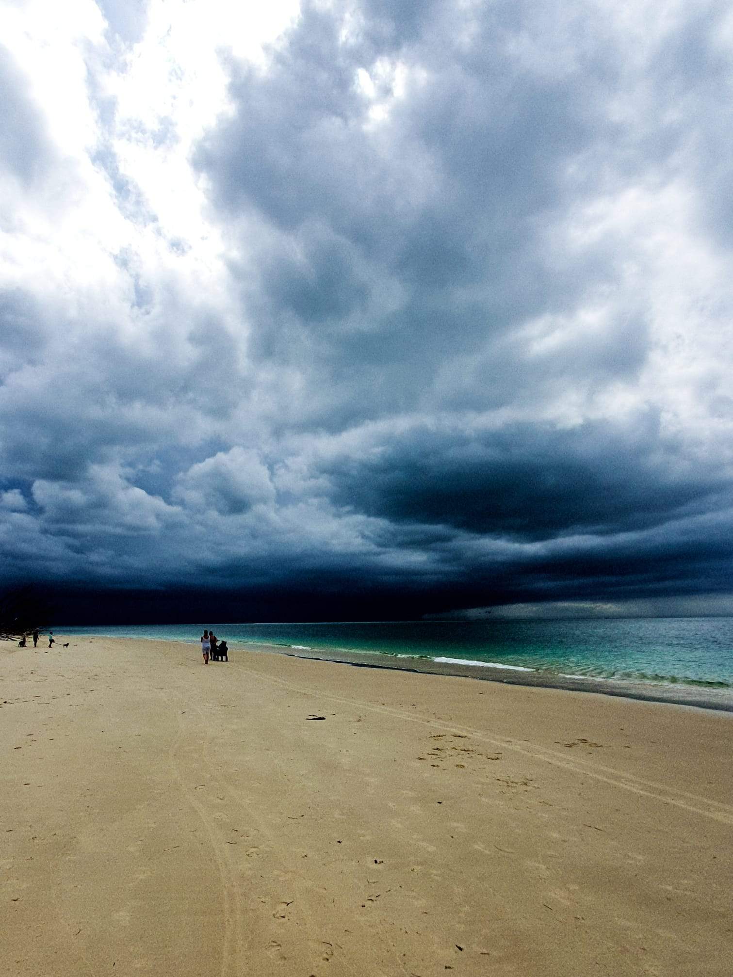 Storms hit Sunshine Coast and Brisbane, tearing down trees - ABC News