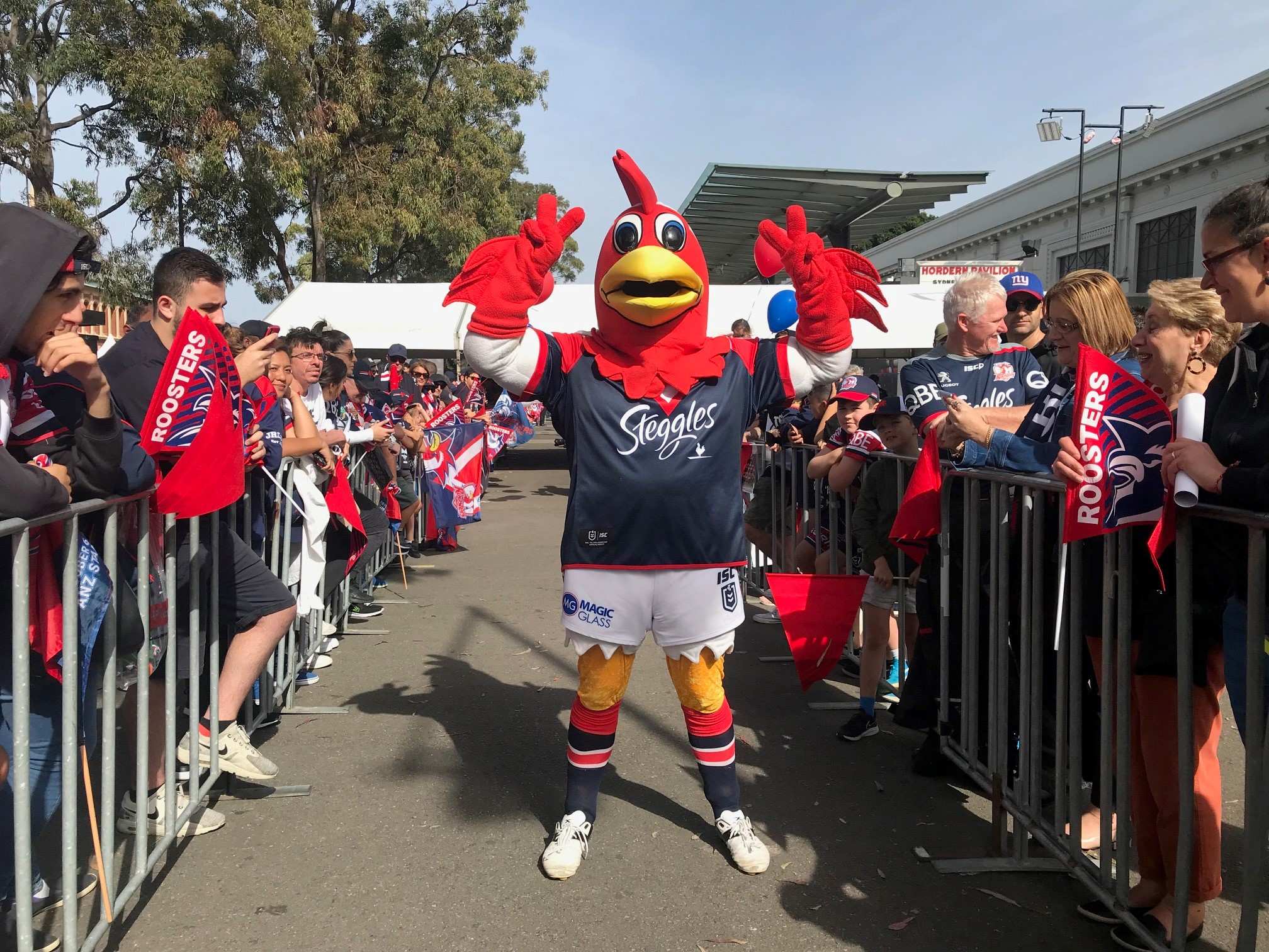 NRL Sydney Roosters fans celebrate grand final victory — just don't ...