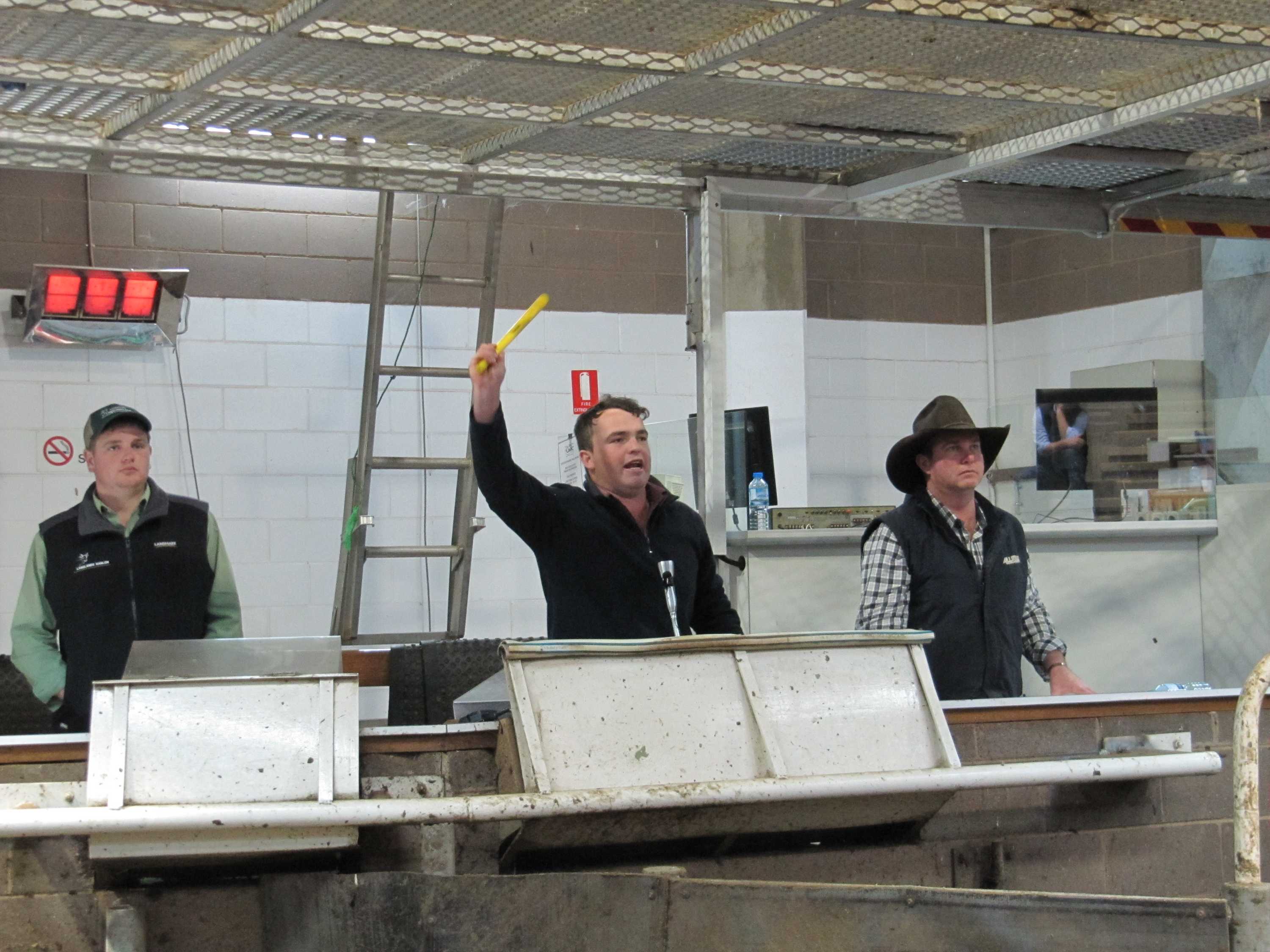 Rookie auctioneers refine vocal skills at training school - ABC News