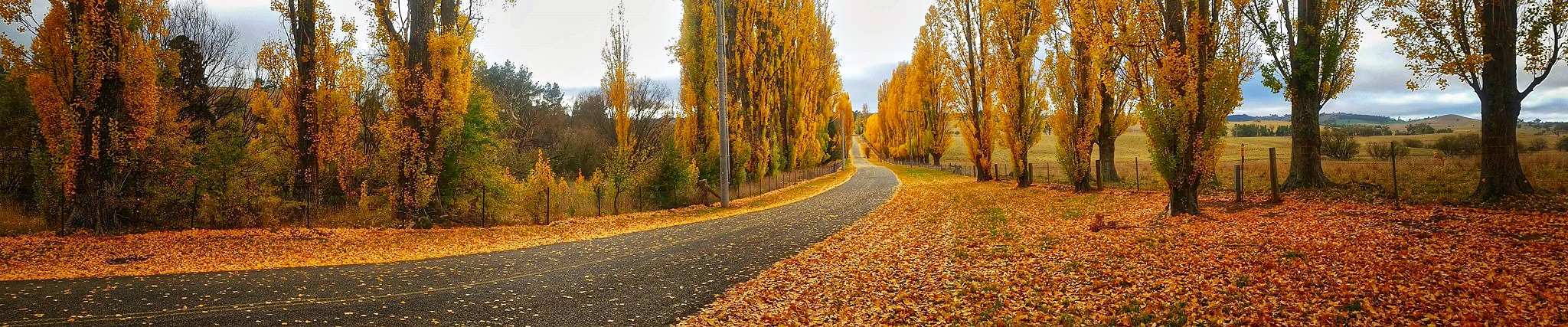 Exhibition of tracks and pathways captures why photographers often get ...