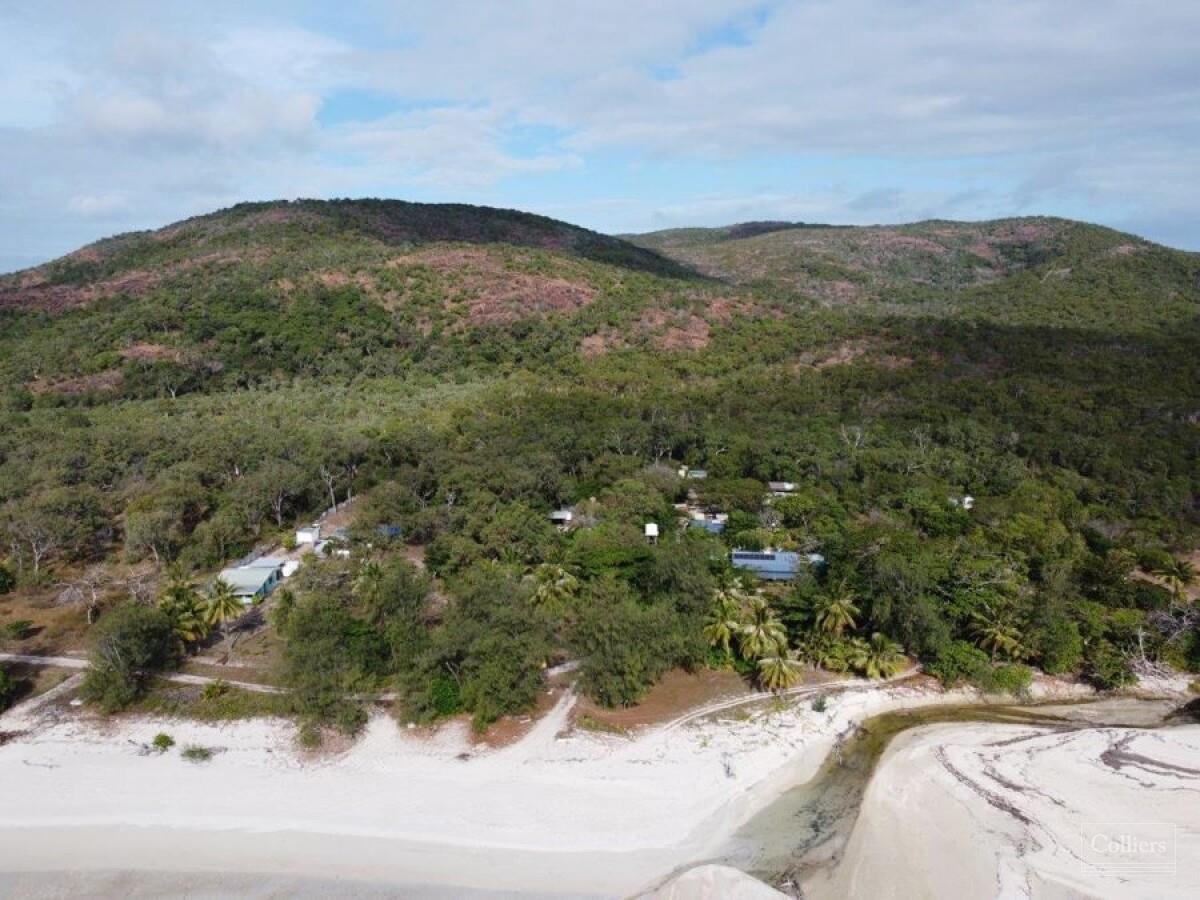 A Melbourne man has spent $280,000 purchasing a tent on remote island ...