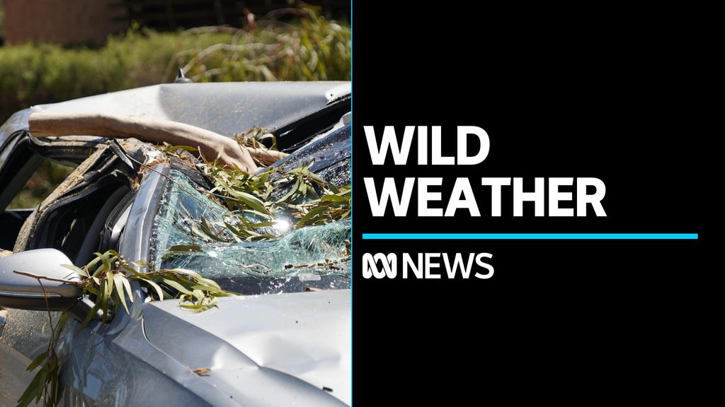 Violent storm in Alice Springs causes devastation in minutes - ABC News