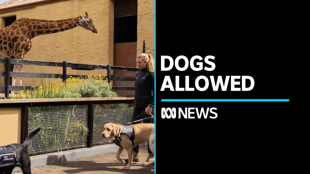 Guide and assistance dogs to be allowed into Adelaide Zoo - ABC News
