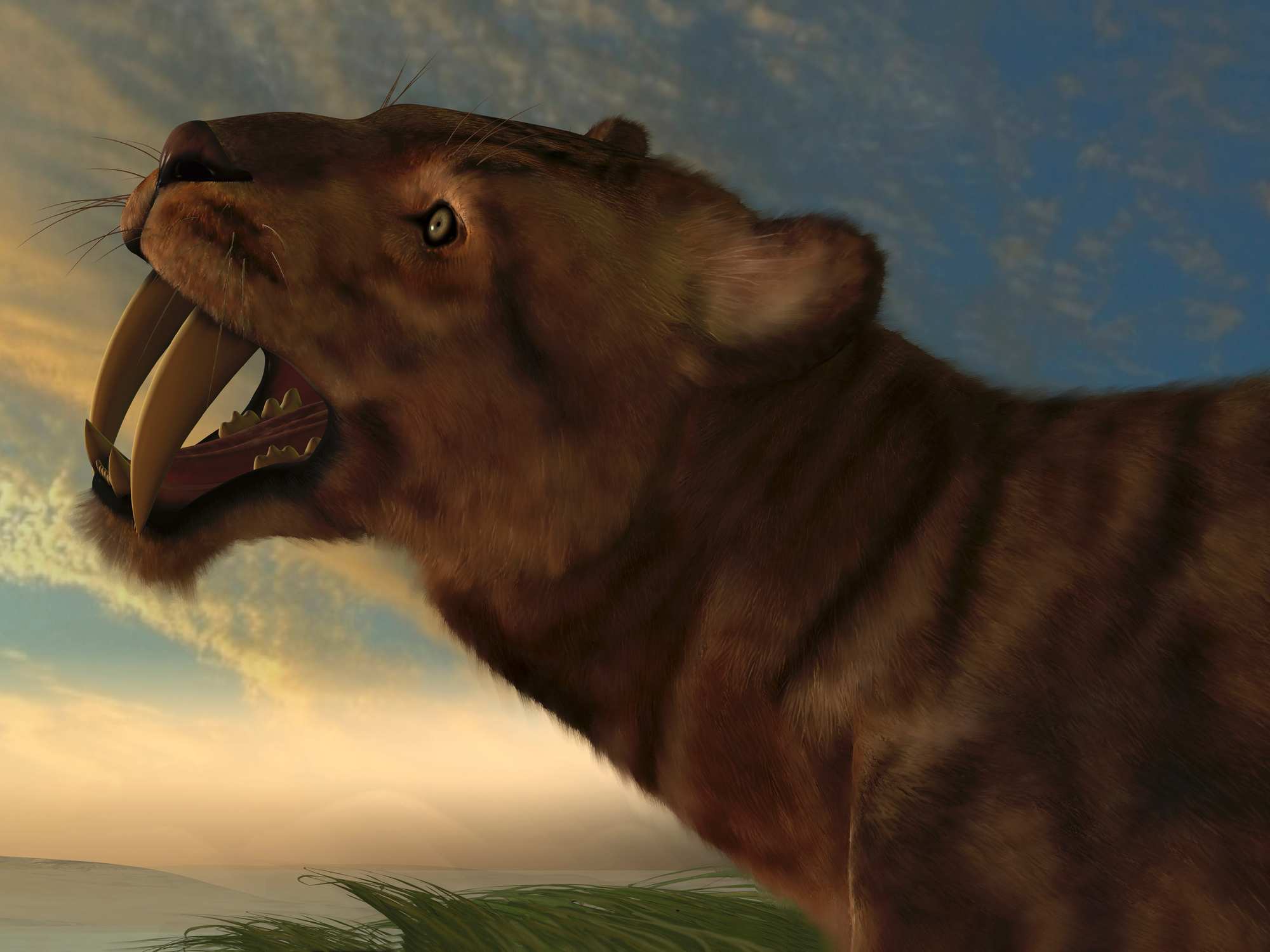 Climate helped drive demise of South America's giant beasts - ABC News