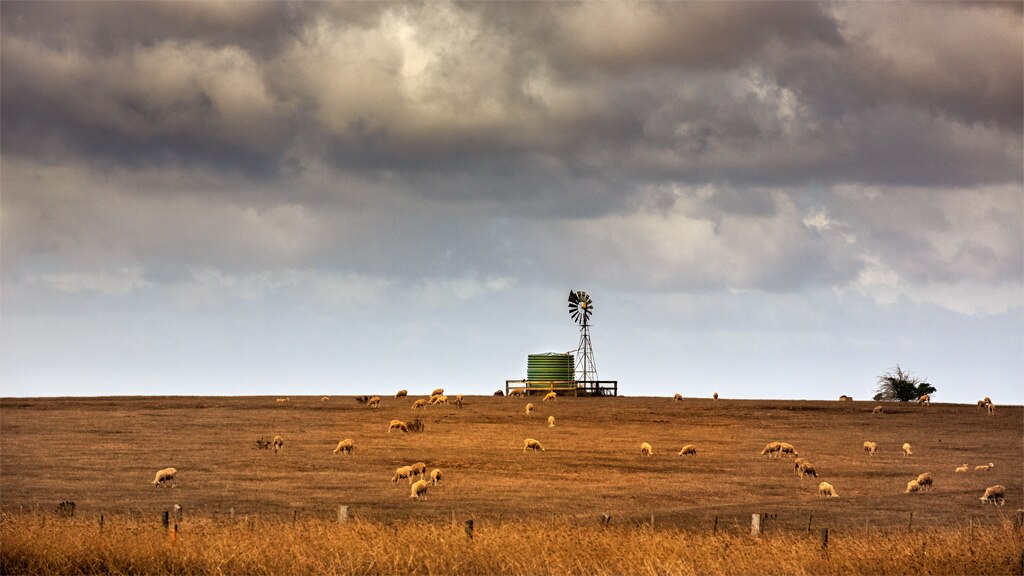BoM forecasts above average rainfall for northern Victoria this winter ...