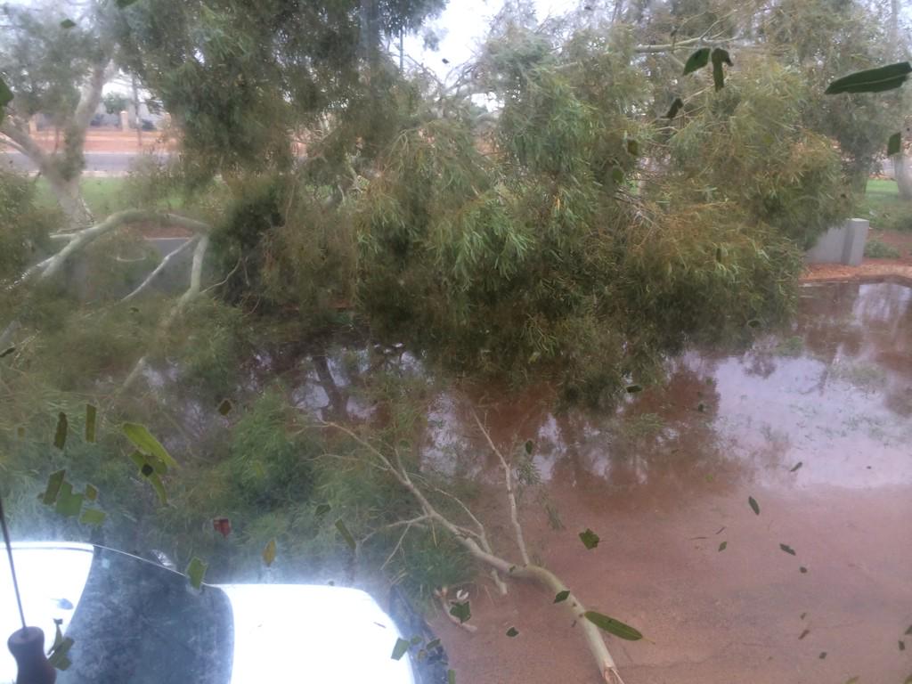 Cyclone Olwyn: Communities on red alert as destructive winds sweep ...