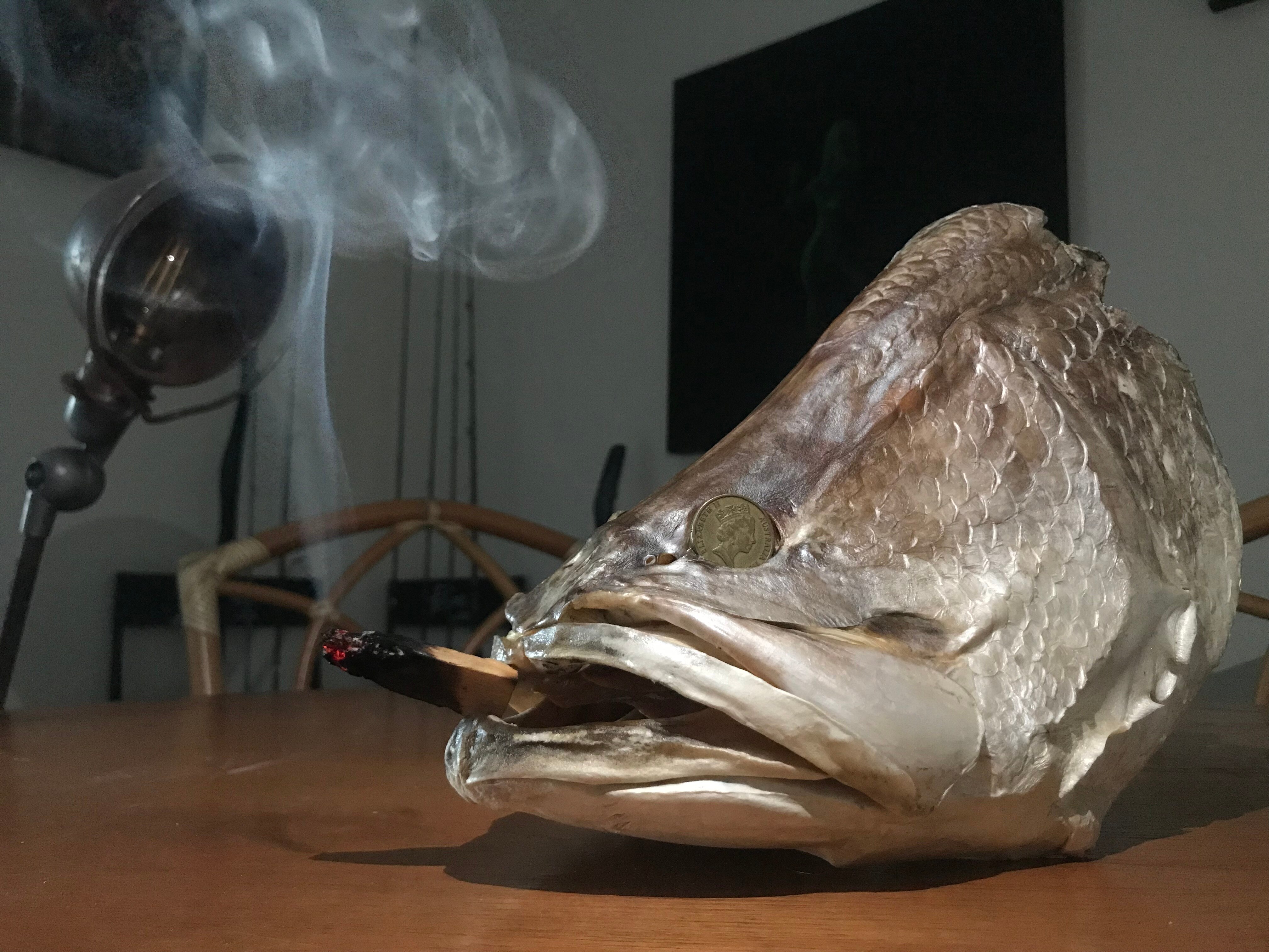 Tinny Podcast #780: Tragedy, superstition and the barra head. The ...