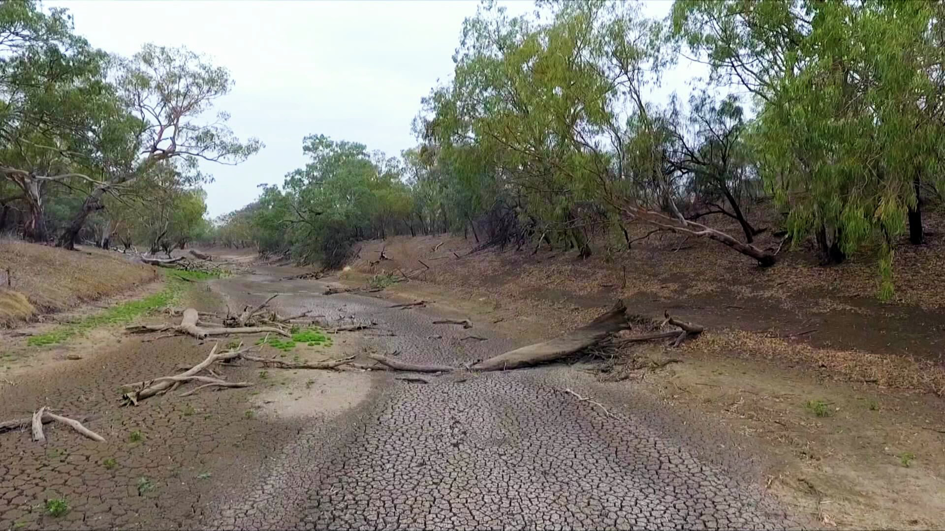 Fake farming crisis - Media Watch