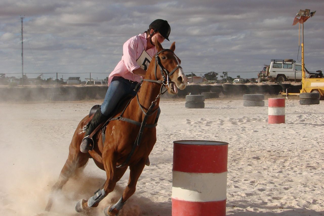 Nullarbor musters up record crowd - ABC News