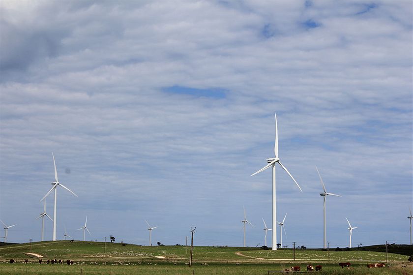 Heavy energy users count the cost of renewable technology - ABC listen