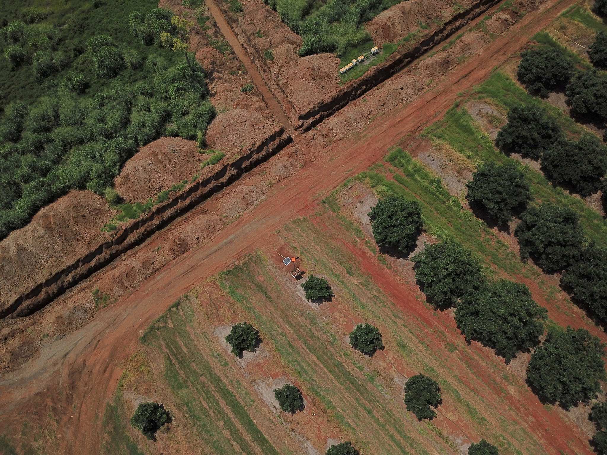 Australian agtech company aiming to deliver real time detection of crop ...