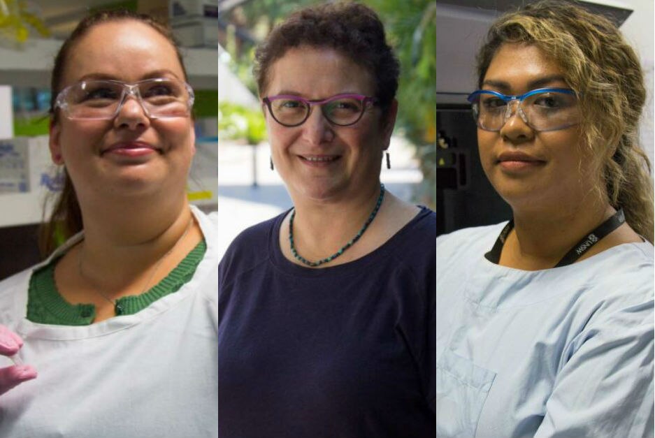 Grieving NSW family turns Anya's Wish into potentially groundbreaking ...