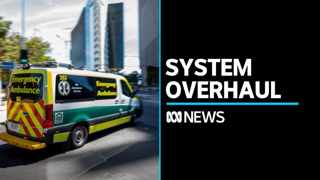 Health experts say a national overhaul of the health system is needed ...