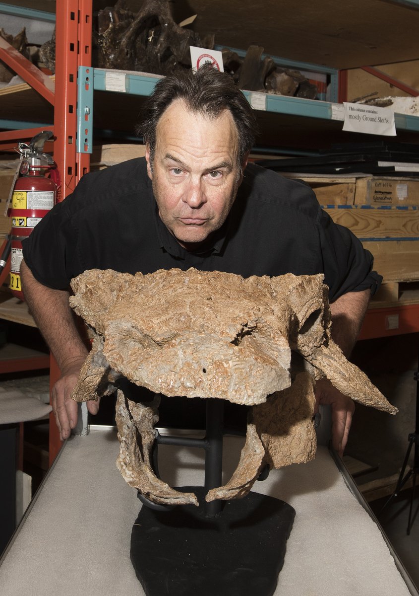 Zuul: Spiky, armoured dinosaur that lived 75 million years ago named ...