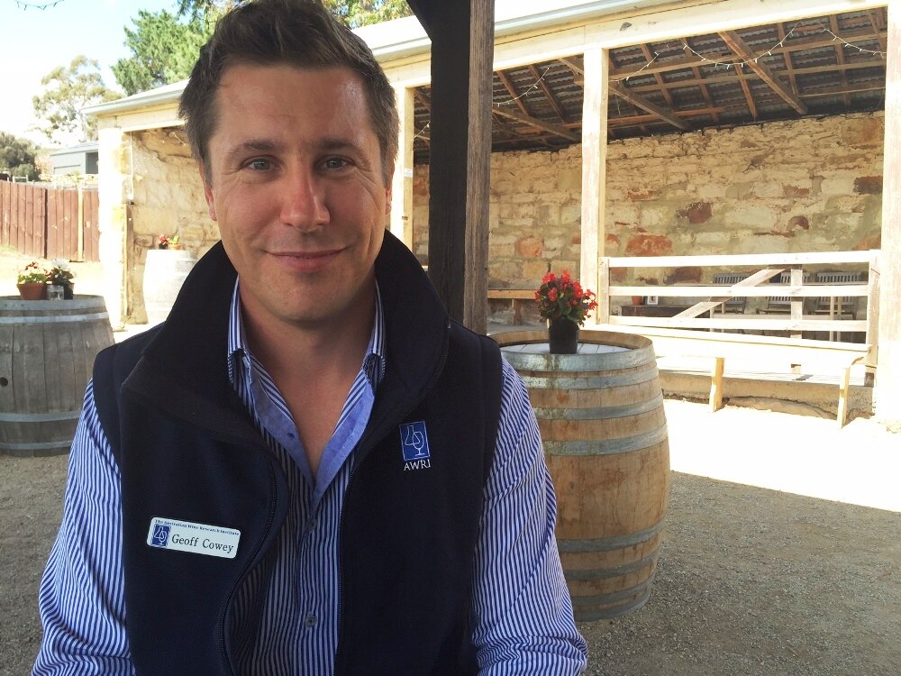 Australian wine industry researching grape marc as stock feed to ...