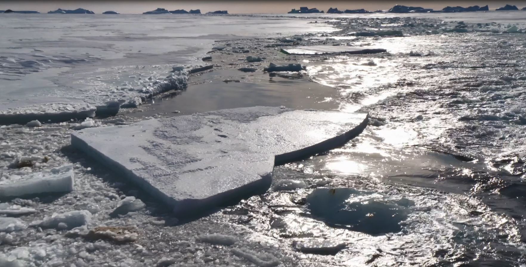 Antarctic sea ice hasn't recovered over winter - ABC Radio