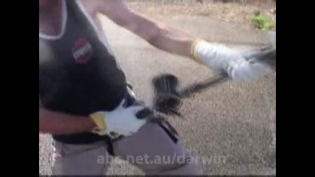 The boys from the Tinny go to great lengths to smoke a rod enlisting ...