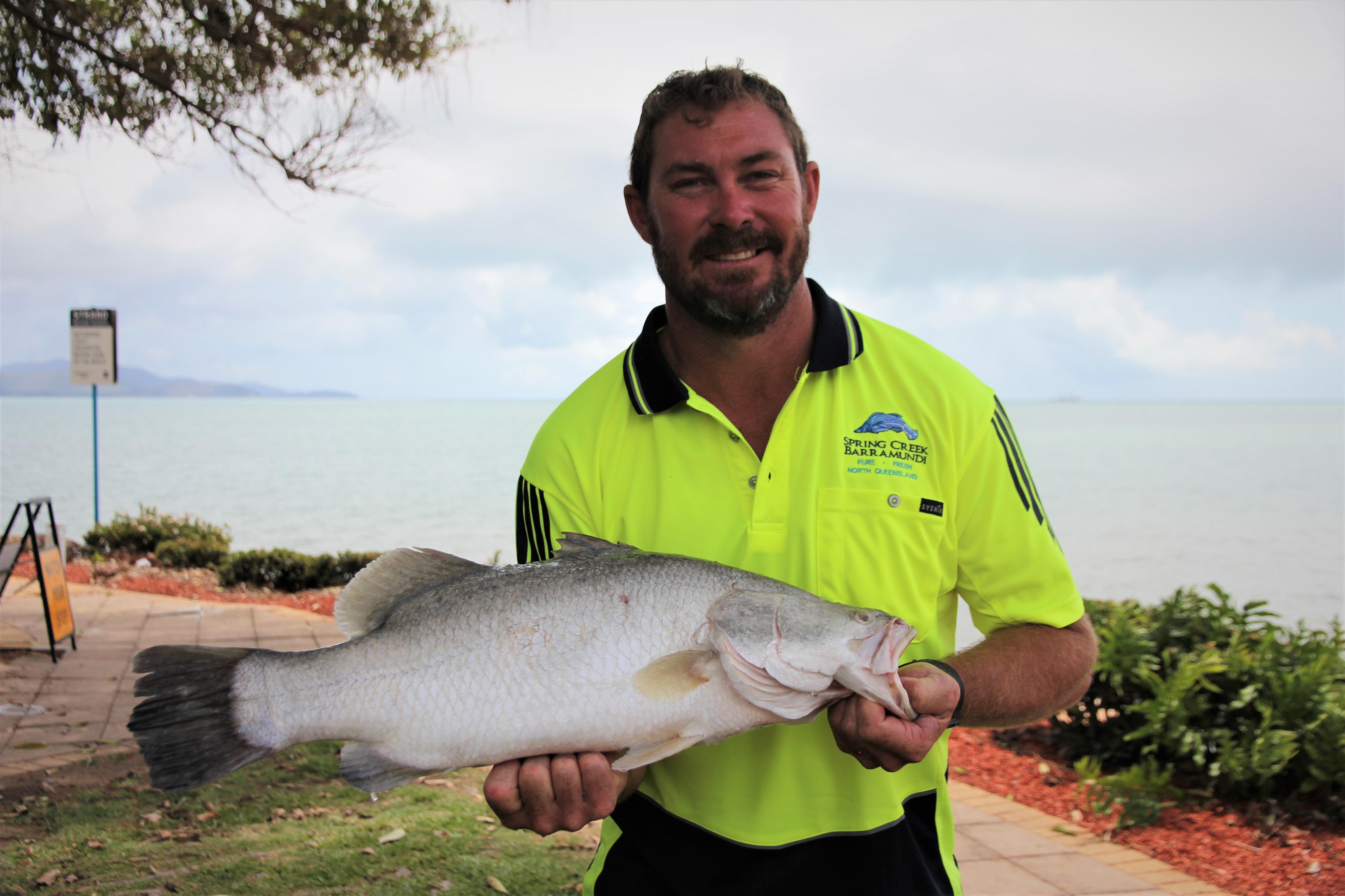 Barramundi is a native Australian fish but 60 per cent of stock we eat ...